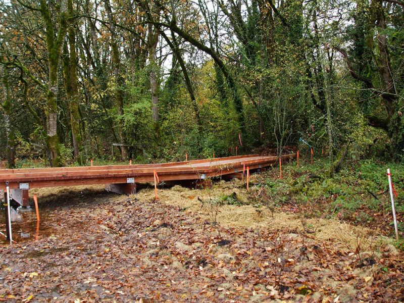Timber Boardwalks - Western Wood Structures | Tualatin, OR